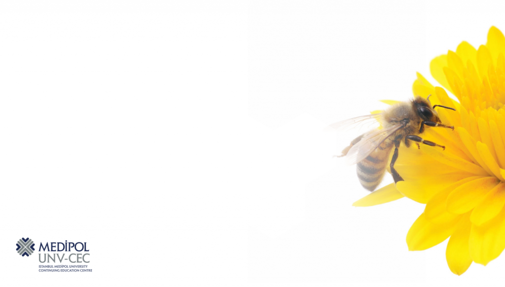 APITHERAPY – CME | Continuing Medical Education